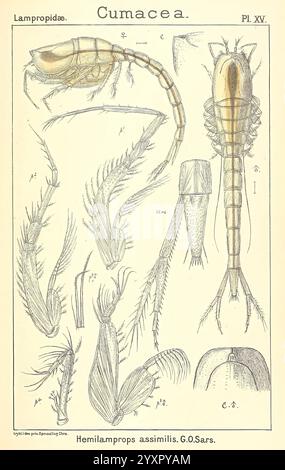 An account of the Crustacea of Norway, Christiania, A. Cammermeyer ...