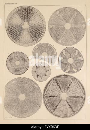 Arrangement of radial and circular geometric forms, dynamic shapes and ...