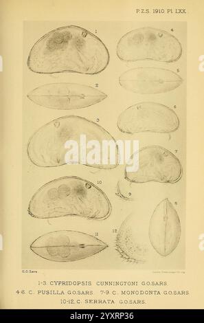 Proceedings of the Zoological Society of London, London, Zoological ...