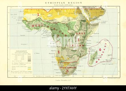 The, geographical, distribution, of, animals, 1876, map, paleontology ...
