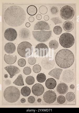Arrangement of radial and circular geometric forms, dynamic shapes and ...