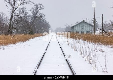 Tracks of Marquette Railroad in Baldwin, Michigan, USA [No release ...