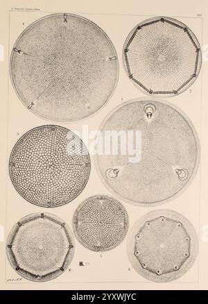 A circular design featuring a geometric arrangement of shapes in ...