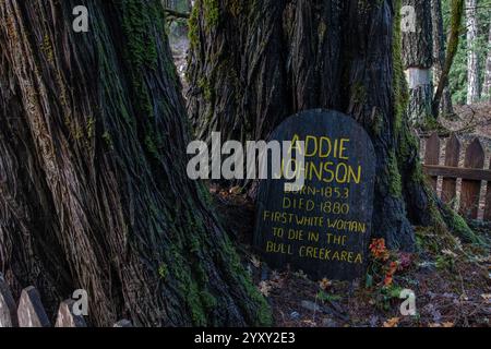 The grave and burial site of Addie Johnson, a pioneer and first woman ...