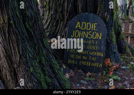 The grave and burial site of Addie Johnson, a pioneer and first woman ...