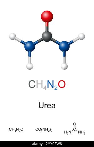 Chemical structure of an urea (carbamide) molecule Stock Photo - Alamy