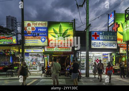 Kathu District Phuket Island Province Thailand 08. October Pink Patong ...