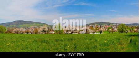 Panoramic view of Reinach Village in Aargau, Switzerland Stock Photo ...