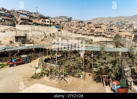 Sale of Small and Large Potted Plants in a Sunny and Covered Nursery ...