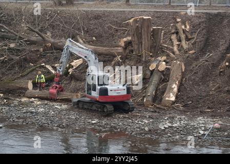 Tractor and heavy machinery in logging and forestry Tractor and heavy ...