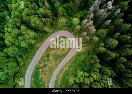 Sharp turn on forest track, roller ski track in wilderness, aerial view ...