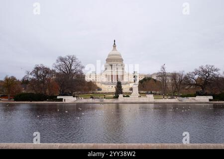 Birds are seen in the Capitol Reflecting Pool in front of the US ...