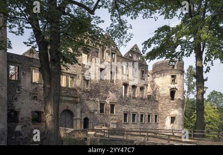 Explore the enchanting ruins of Swiny Castle in Poland, a natural ...