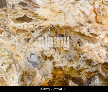 Close-up shot of a Graveyard Point Plume Agate from eastern Oregon ...