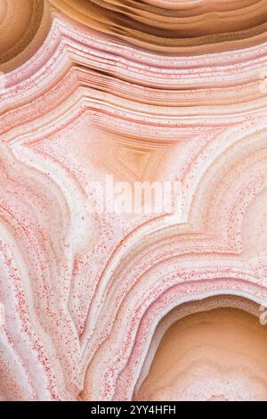 Brown agate, polished surface of natural stone with white veins close ...
