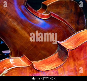 Professional symphonic string orchestra performing on stage and playing ...