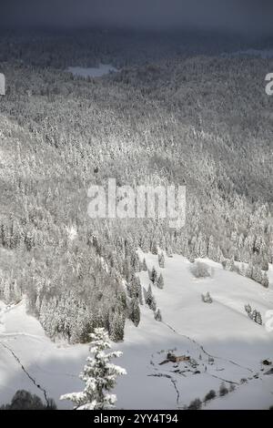 The first snow of this season fall at ski resort Platak located north ...