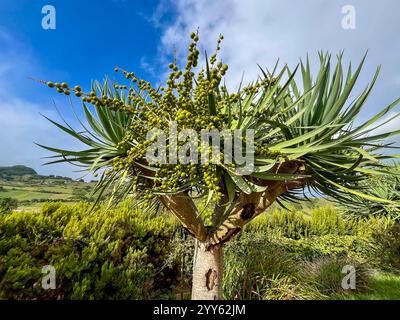 Capelo, Portugal. 25th Sep, 2024. The excursion area at the Vulcao dos ...