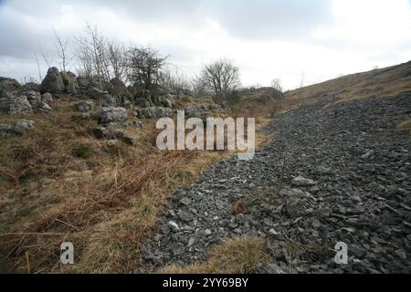 Hutton Roof: a superb example of steeply sloping limestone pavements ...