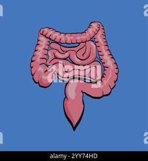 Human digestive system showing intestinal tract anatomy Stock Vector ...
