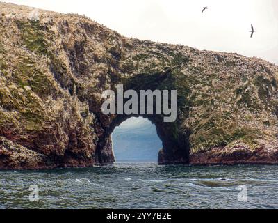 Natural rock arch in Paracas National Reserve, Peru Stock Photo - Alamy