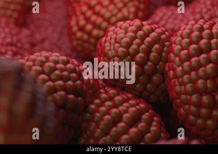 Prostate cancer cells in the prostatic glandular epithelium - closeup view 3d illustration Stock ...