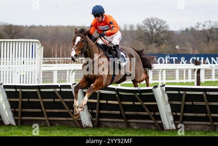 The Howden Maiden Hurdle winning trainer Paul Nicholls during the ...