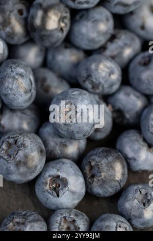mature blueberries scattered on a black slate , a pile of blueberries ...