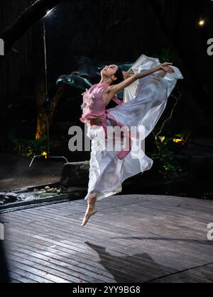 mesmerizing dance performed by a profesional Vietnamese dancer Stock ...