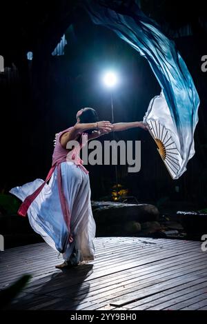 mesmerizing dance performed by a profesional Vietnamese dancer Stock ...