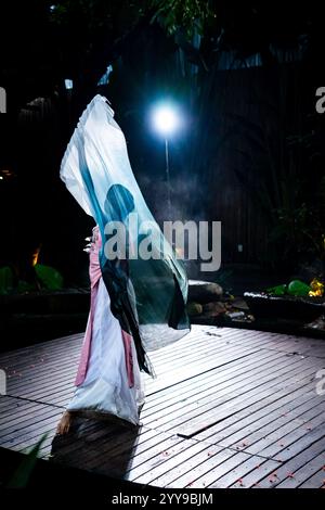 mesmerizing dance performed by a profesional Vietnamese dancer Stock ...