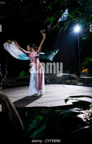 mesmerizing dance performed by a profesional Vietnamese dancer Stock ...