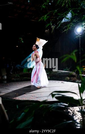 mesmerizing dance performed by a profesional Vietnamese dancer Stock ...