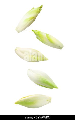Fresh leaf chicory in air on white background Stock Photo - Alamy