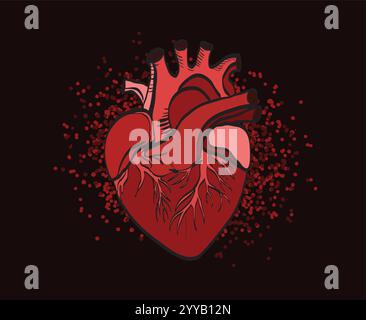 Realistic anatomical red heart beating on dark background Stock Vector ...