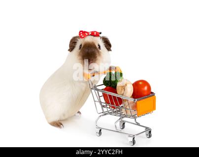 Funny guinea pig carries shopping cart full of vegetables isolated on a ...