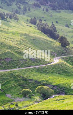 Tor Valley is located at the L'Alt Pirineu Nature Park. Lleida ...