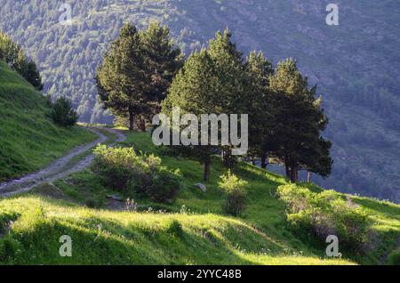 Tor Valley is located at the L'Alt Pirineu Nature Park. Lleida ...