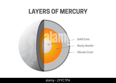 Mercury internal structure. cross section of planet from core to mantle ...