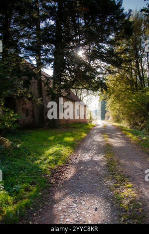 Garralda rural landscapes. Aezkoa Valley, Navarre, Spain Stock Photo ...