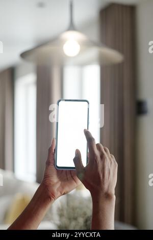 Closeup vertical shot of a female hand holding white tulips Stock Photo ...