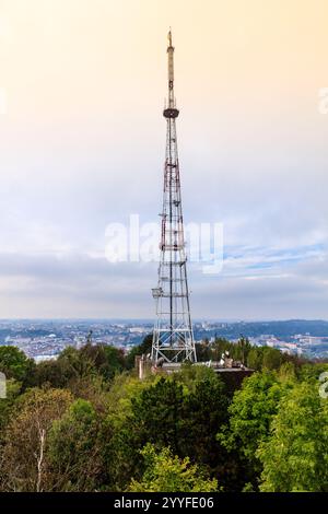 A forest with green tall trees and a satellite tower background Stock ...