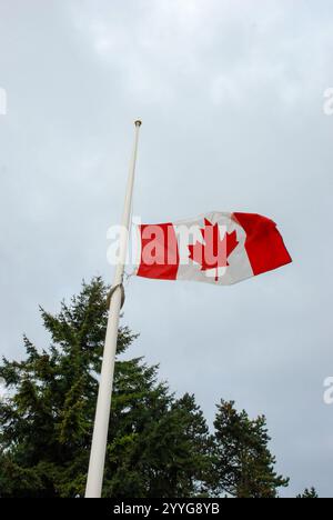 Canadian Flag at half mast blowing in the wind during remembrance ...