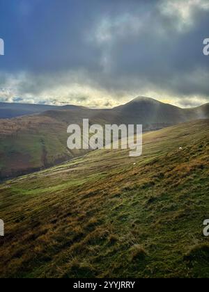 Cribyn, Bannau Brycheiniog (Brecon Beacons) national park, Wales Stock ...