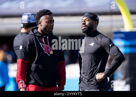 Carolina Panthers safety Nick Scott (21) in action against the New York ...