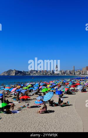 View over Playa de Poniente beach, Benidorm town, Costa Blanca ...