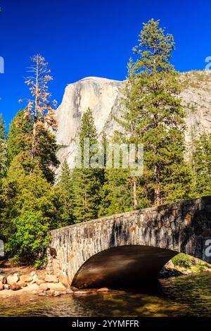 Merced river surrounded by trees in Yosemite National Park, California ...