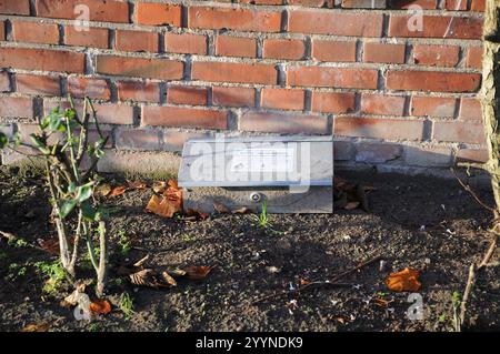 Copenhagen/ DenmarK/22 DECEMBER 2024/ mouse and rats checher box among ...