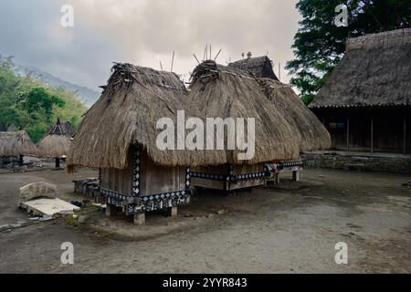 A traditional old village of Ngada tribe in Bajawa region in Flores ...