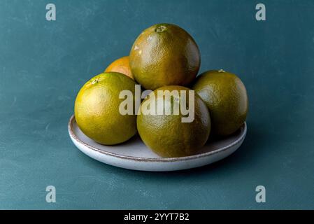Navel Chocolate Oranges. Chocolate navel orange, also called chocolate ...